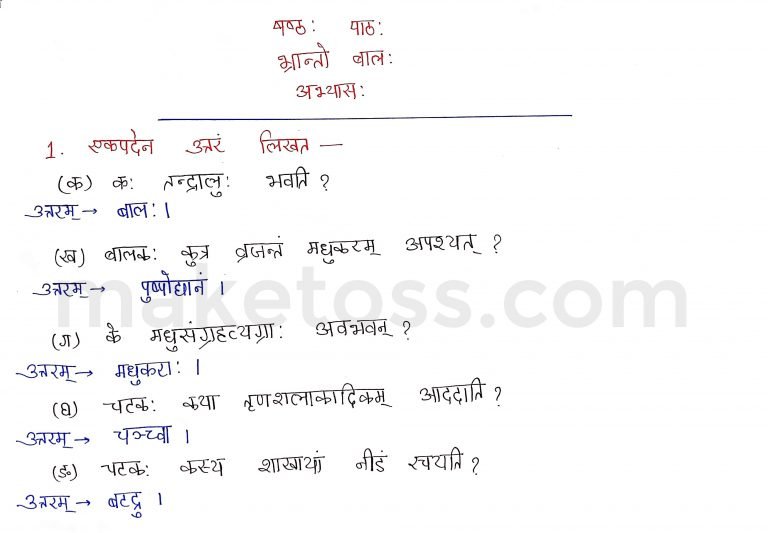 Sanskrit Class 9- Chapter 5- भ्रान्तो बालः - NCERT Exercise Solution ...