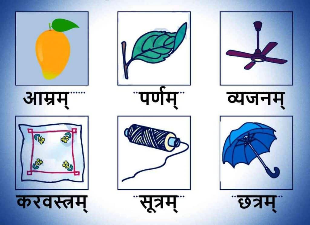 NCERT Solutions For Class 6 Sanskrit Chapter 3 3 NCERT Solutions For Class 6 Sanskrit Chapter 3 3